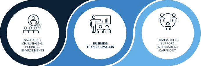 Interim Management - Alvarez & Marsal | PEPI